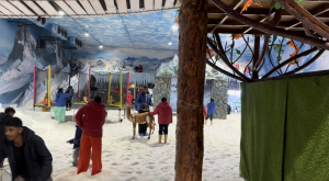 Experience Winter Wonderland at Snow World City, Rohini, New Delhi ...
