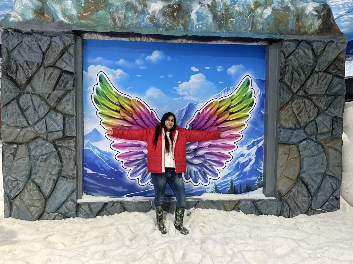 Experience Winter Wonderland at Snow World City, Rohini, New Delhi ...