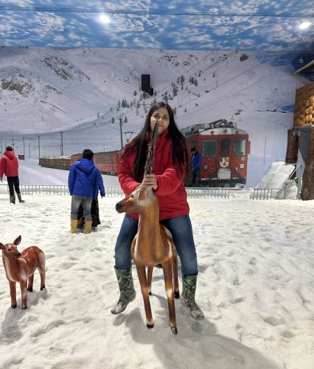 Experience Winter Wonderland at Snow World City, Rohini, New Delhi ...